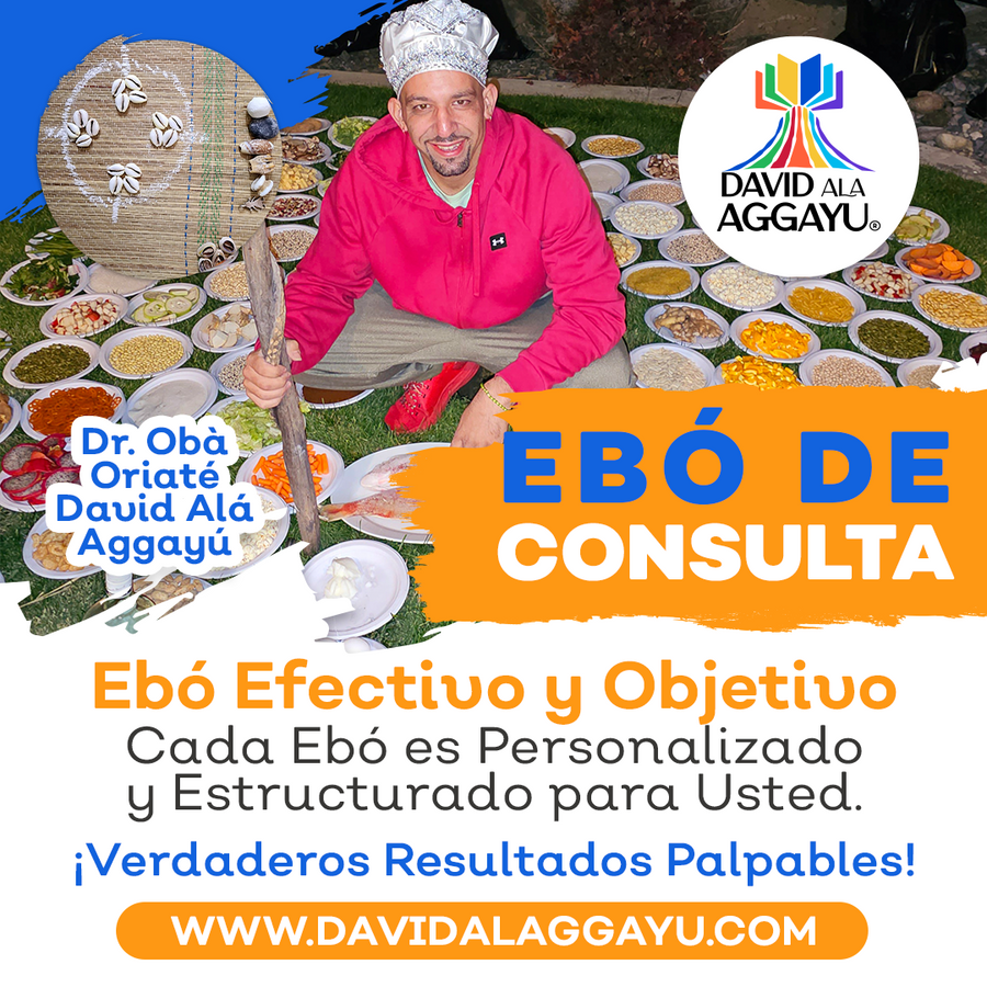 Consultas – David Ala Aggayu